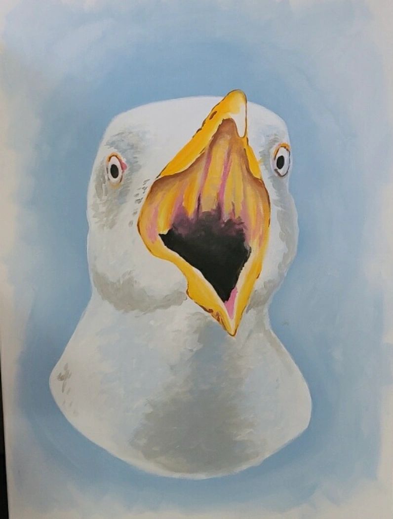 Screaming Seagull Services